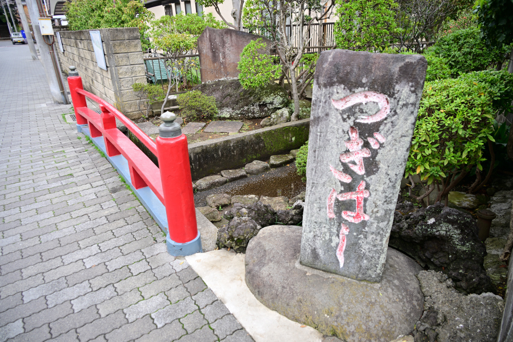 桜の季節 2024の3: 里山333